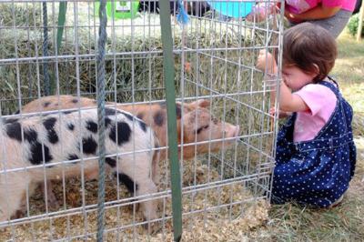 REHOBOTH NOTEBOOK: Larry Procopio Block Party draws more than 600 ...