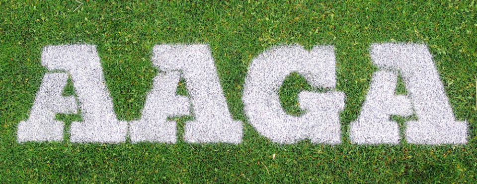 AAGA Senior Tournament 2014 | Gallery | thesunchronicle.com