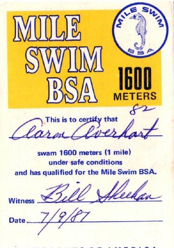 Why a 15-year-old Florida Boy Scout finally turned in his scoutmaster ...