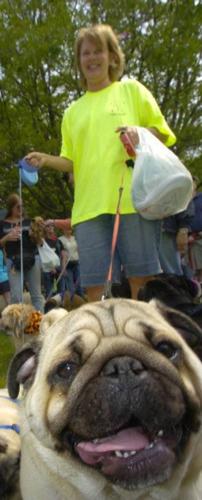 FAAS Pet Walk May 22 in Attleboro | Pet Day | thesunchronicle.com