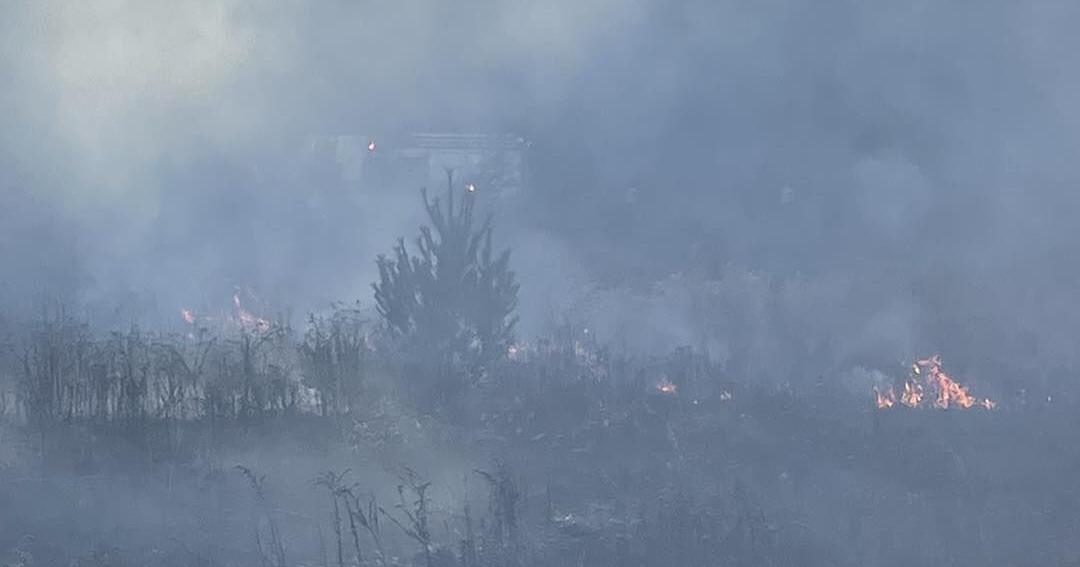 Foxboro crews battle brush fire in state forest as dry weather, wind ...