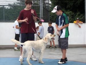 Pets parade at Booth Playground | Features | thesunchronicle.com