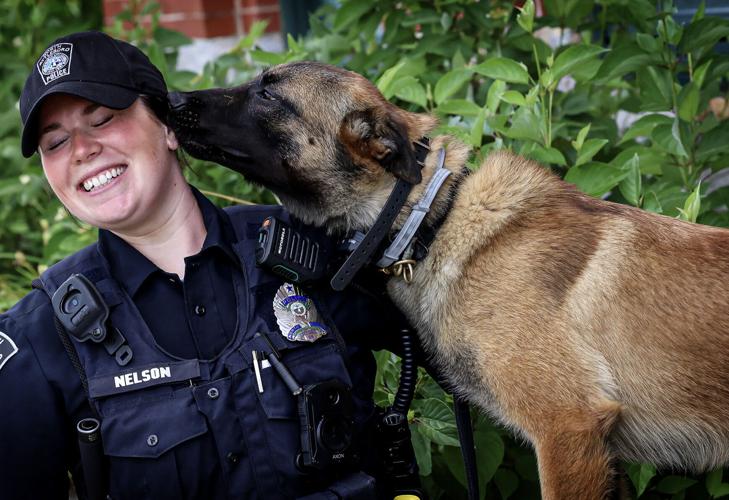 North Attleboro Police Department adds four-legged officer to help ...