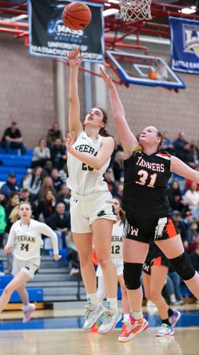 H.S. GIRLS BASKETBALL: Webster carries Bishop Feehan past Woburn, back ...