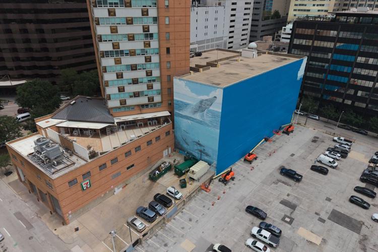 Artist suing FIFA over destruction of Dallas whale mural before World ...