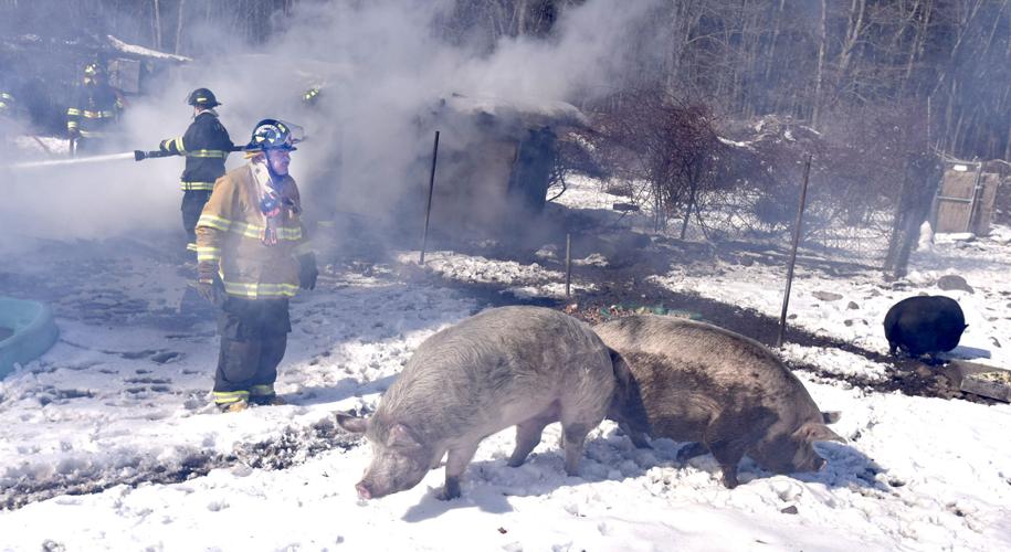 Rehoboth pig barn destroyed by fire | Local News | thesunchronicle.com