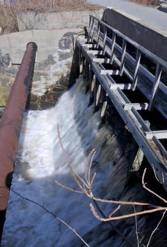 Ten Mile River continues on a comeback course | Local News ...