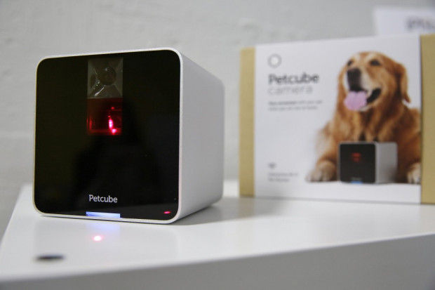 Pet Tech: New devices keep animals safe, healthy, connected | Pet Day ...
