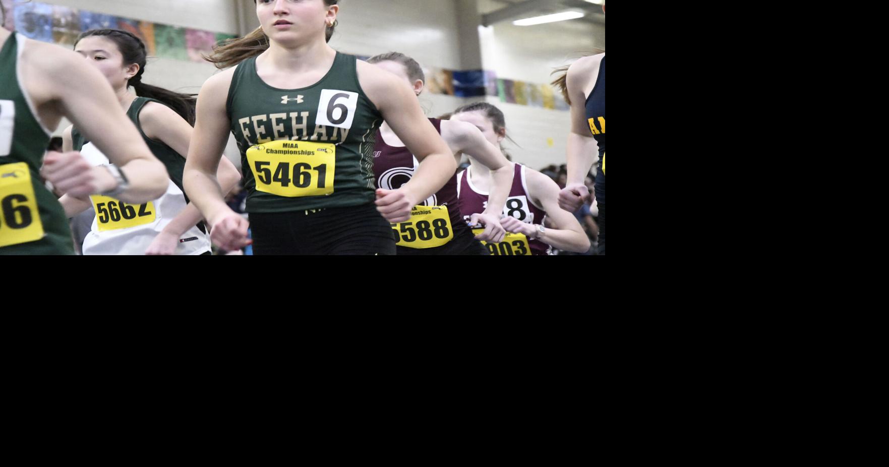 H.S. CROSS COUNTRY: Area athletes run at divisional meet | Sports ...