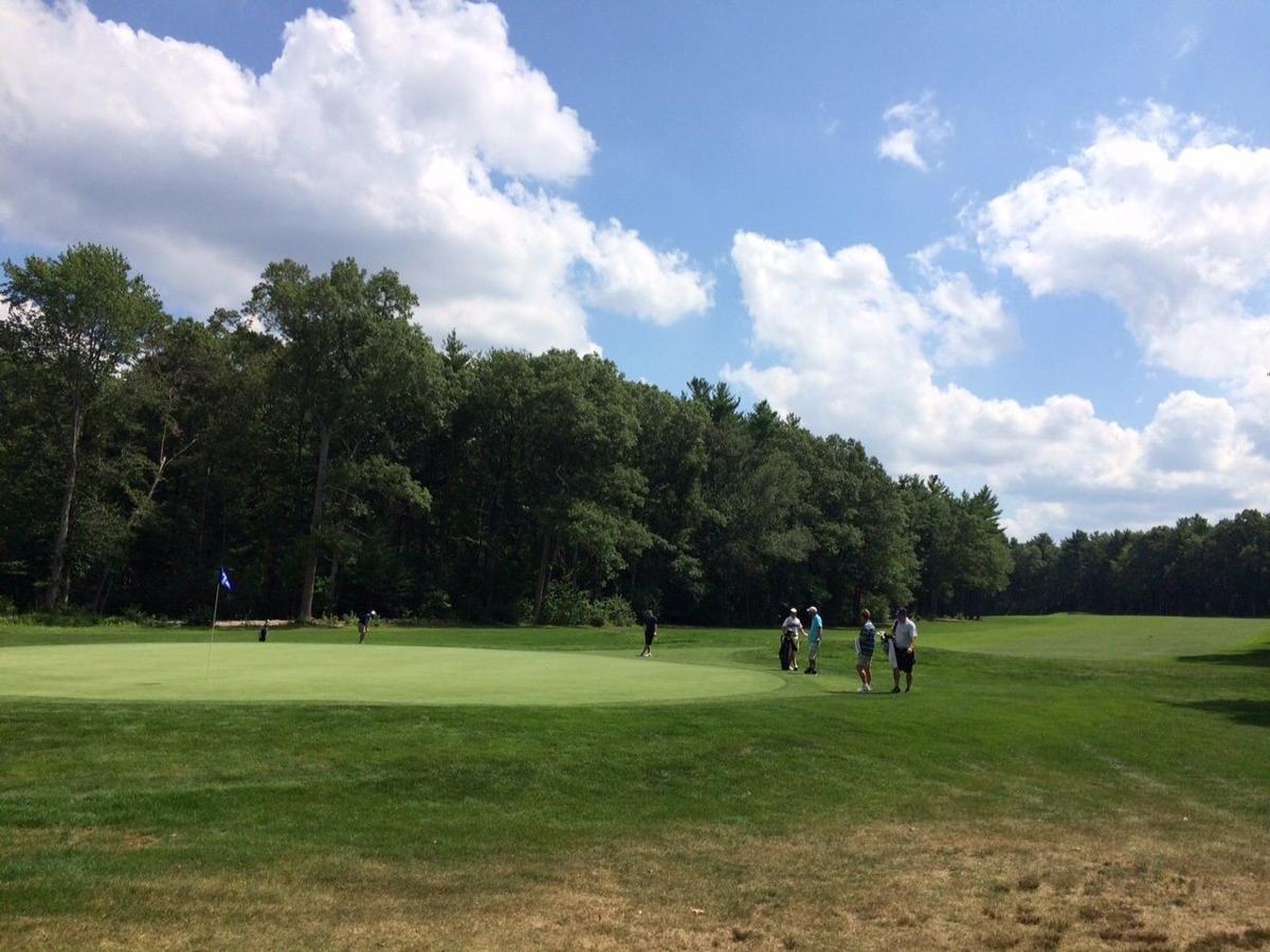 Cornish a golf guru by design among area courses | Local Sports ...