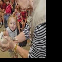 Springing forth at museum | Local News | thesunchronicle.com