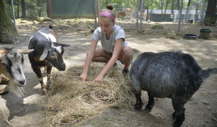 North Attleboro's 'Zoo Crew' gives kids first-hand look at the life of ...