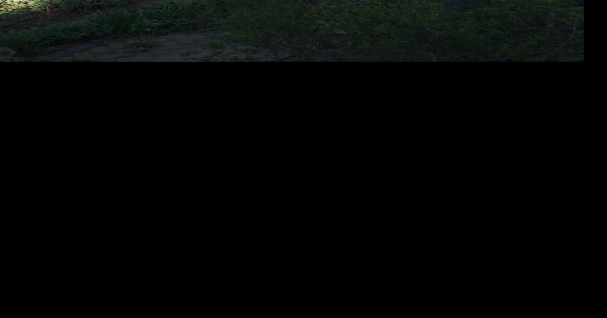 GARIEPY: Apple trees made a big comeback this year | Stories ...