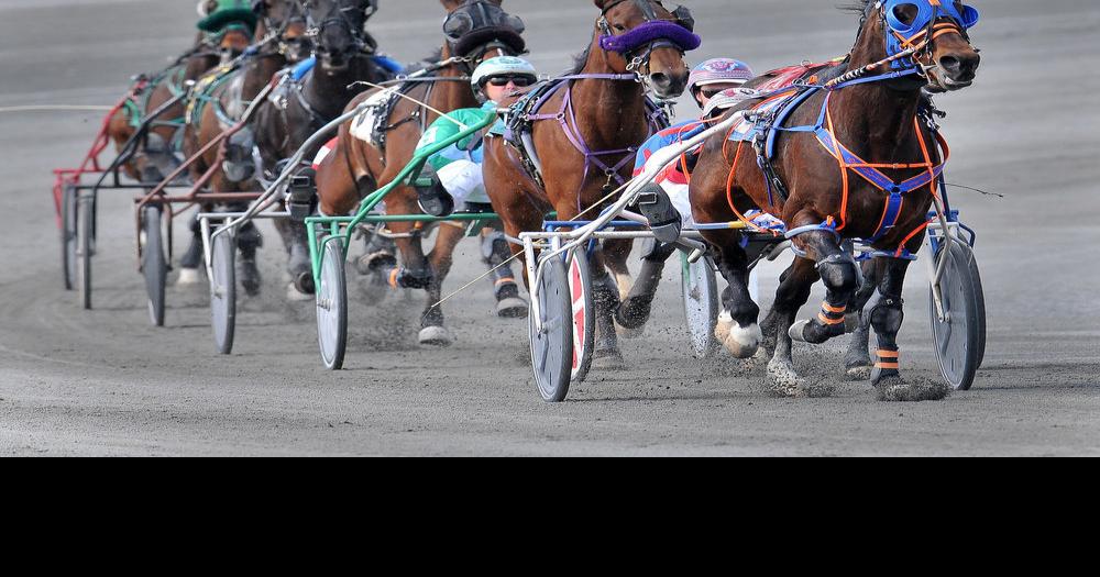 Plainridge Park Casino Harness Racing Opening Day 2016 | Gallery ...