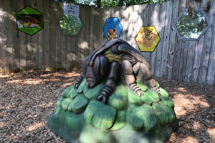 New at Capron Park Zoo in Attleboro | Gallery | thesunchronicle.com