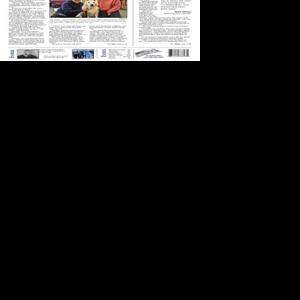 Page A1 | The Foxboro Reporter | thesunchronicle.com