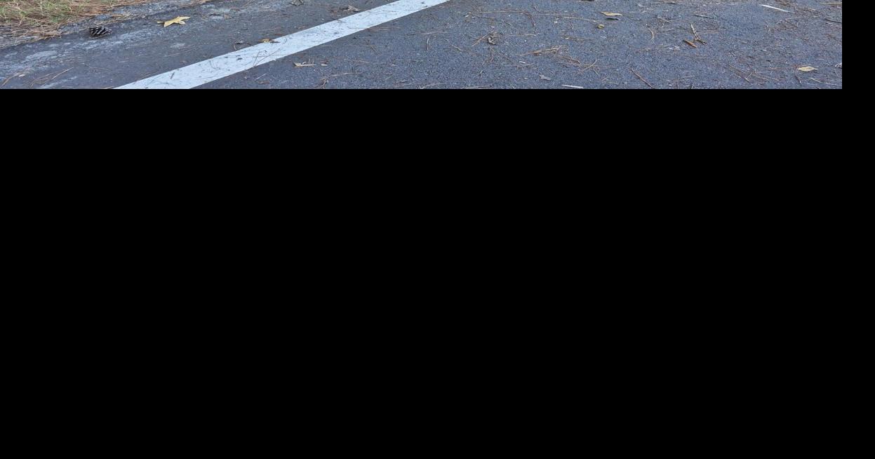 Good Samaritan helps with Sussex Single Vehicle crash | Local News ...