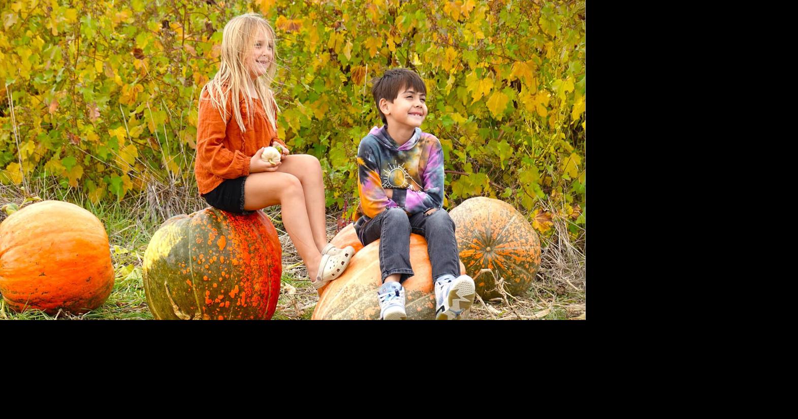 There’s still time for pre-Halloween fun | News ...