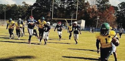 Green Machine coach talks past and future | News ...