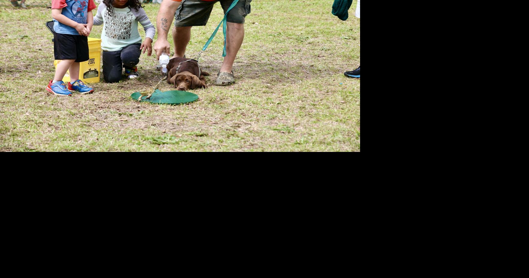 IN PHOTOS: Springfield's Annual Frog Jump and Egg Strike