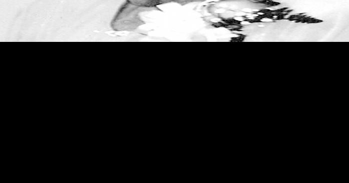 Sarah P. Nettles -- North