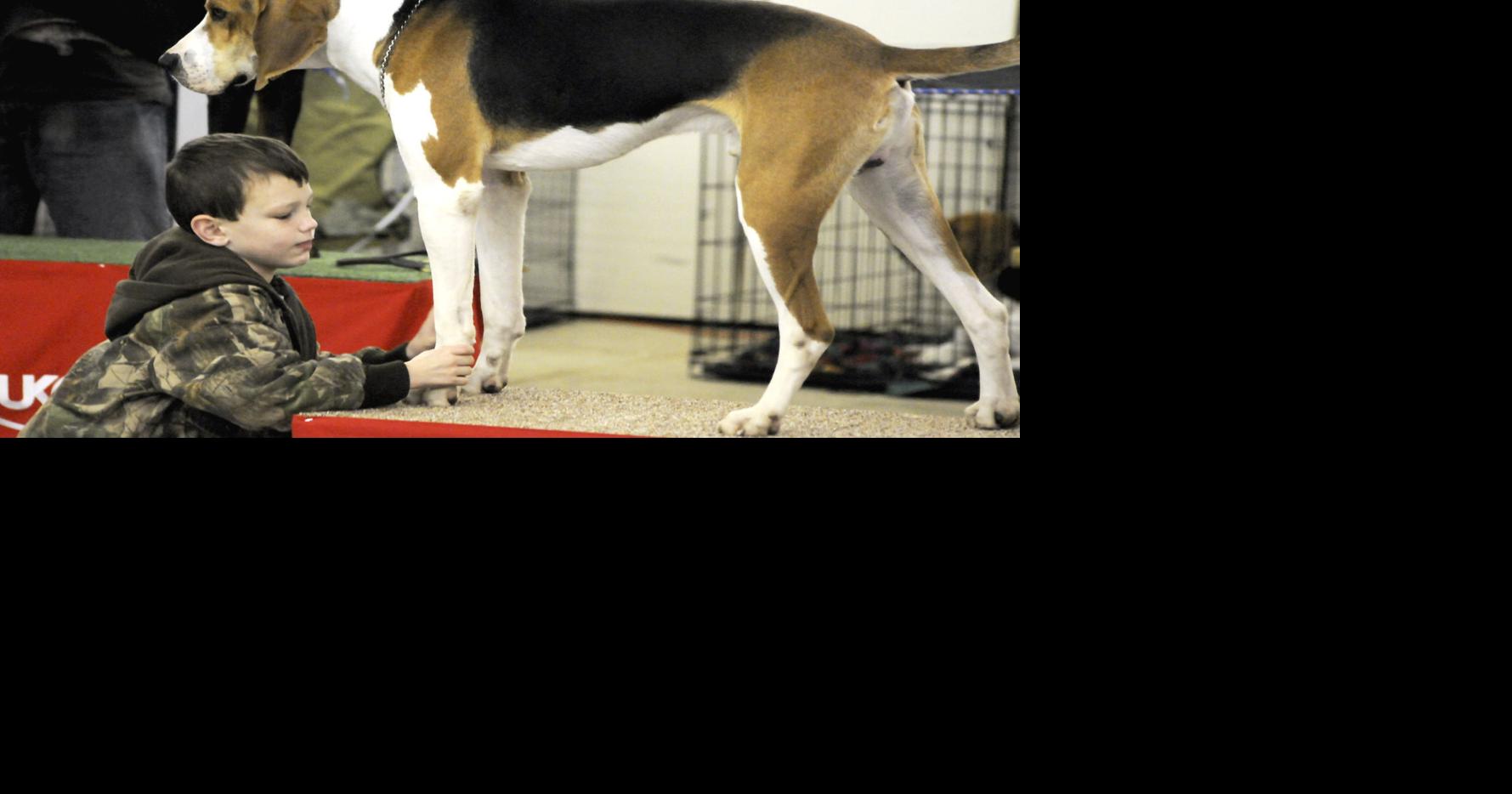 Coon hunting then, now: Grand American born of hunting coons for sport
