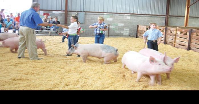 Fair pigs
