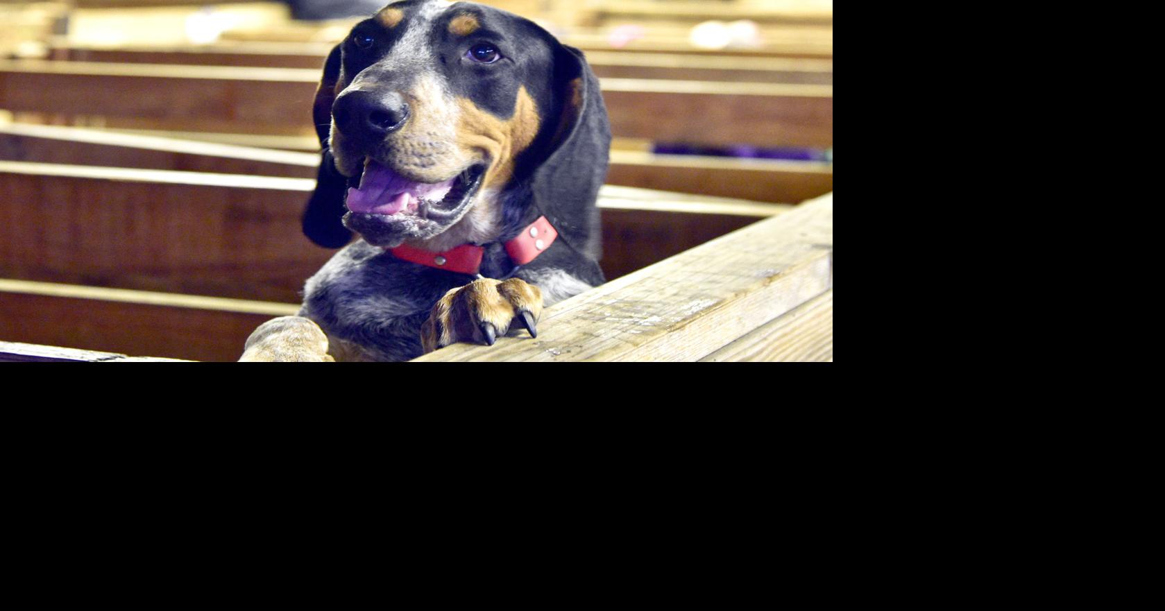 Grand American takes year-round planning; about 150 people make ...