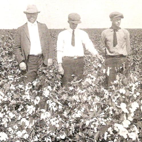 Wannamaker family pioneers in seed, soybean business
