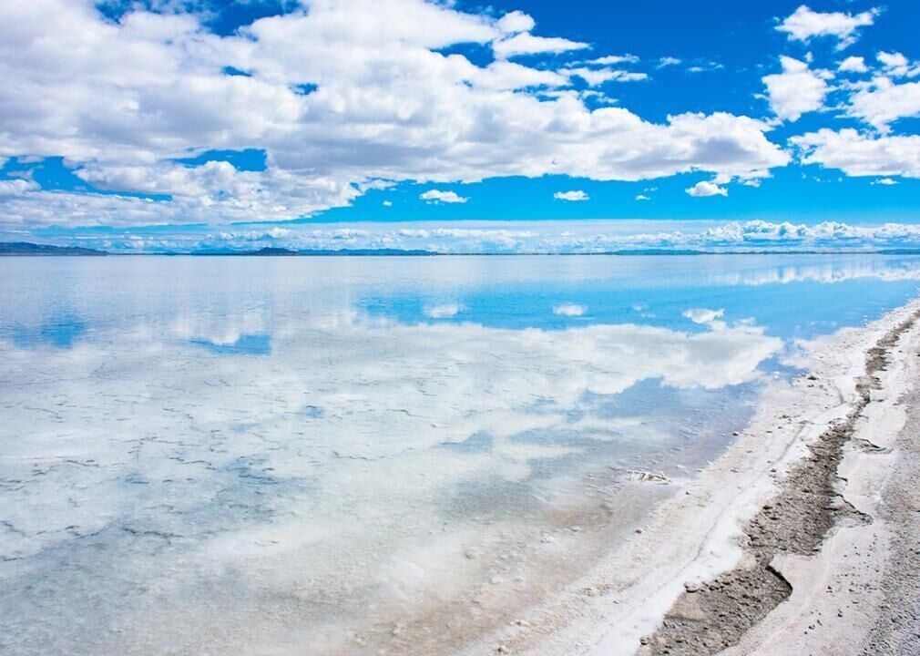 Man used fake ID to fly for free as flight attendant, pilot