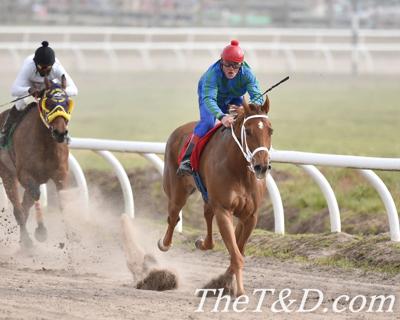 Elloree Trials back on track