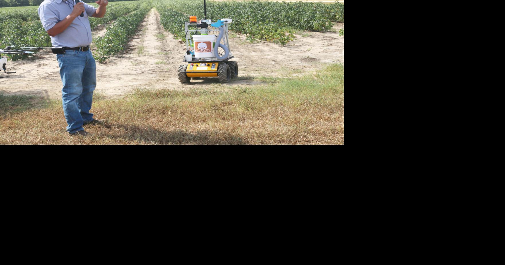 Cotton-harvesting robot: Researcher building more-affordable unmanned ...