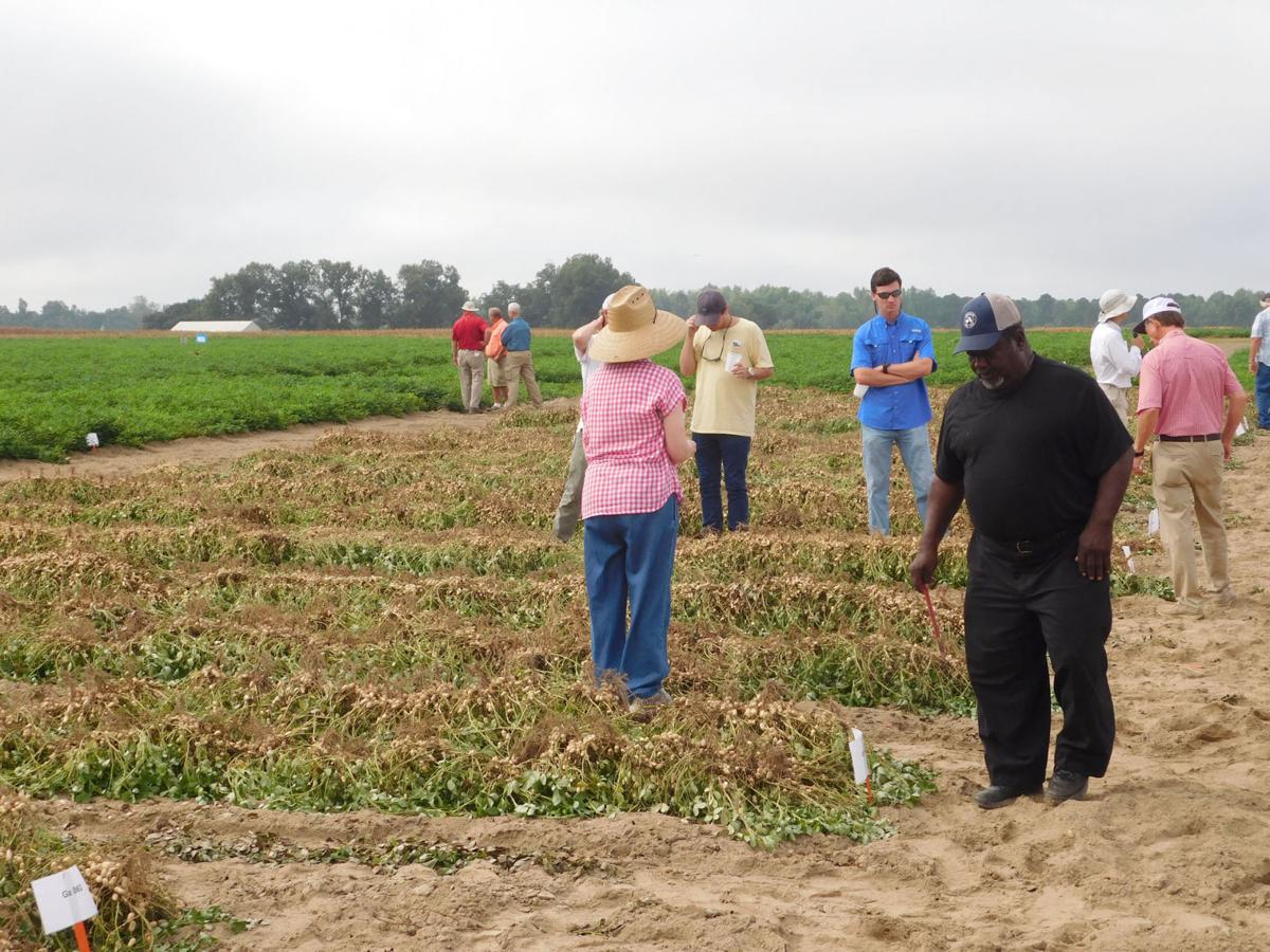 Fall Field Days will be online in 2020