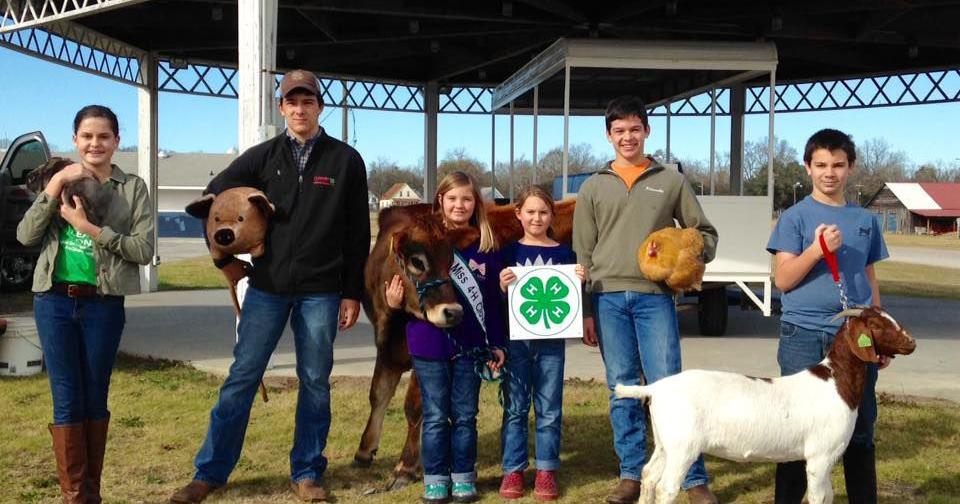 4-H livestock projects teach valuable skills