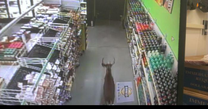 The buck shops here
