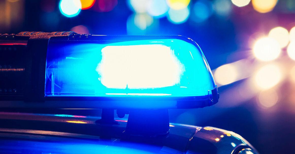 Elloree woman facing drug charges