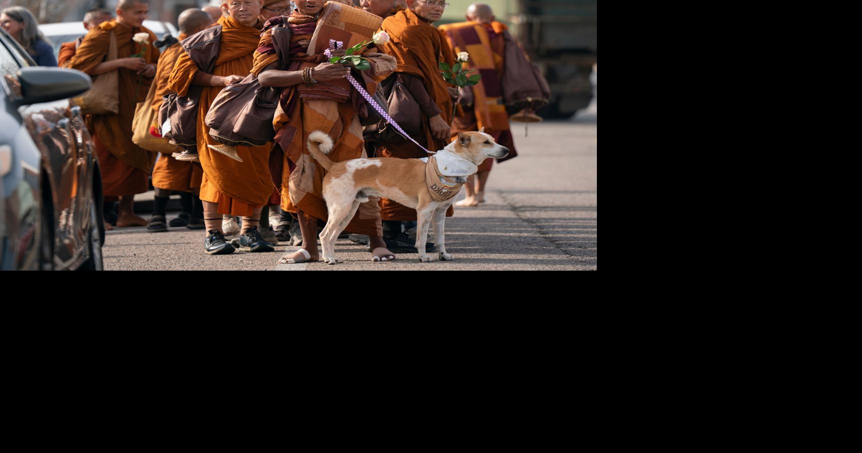 Buddhist monks and dog captivate Americans on walk for peace