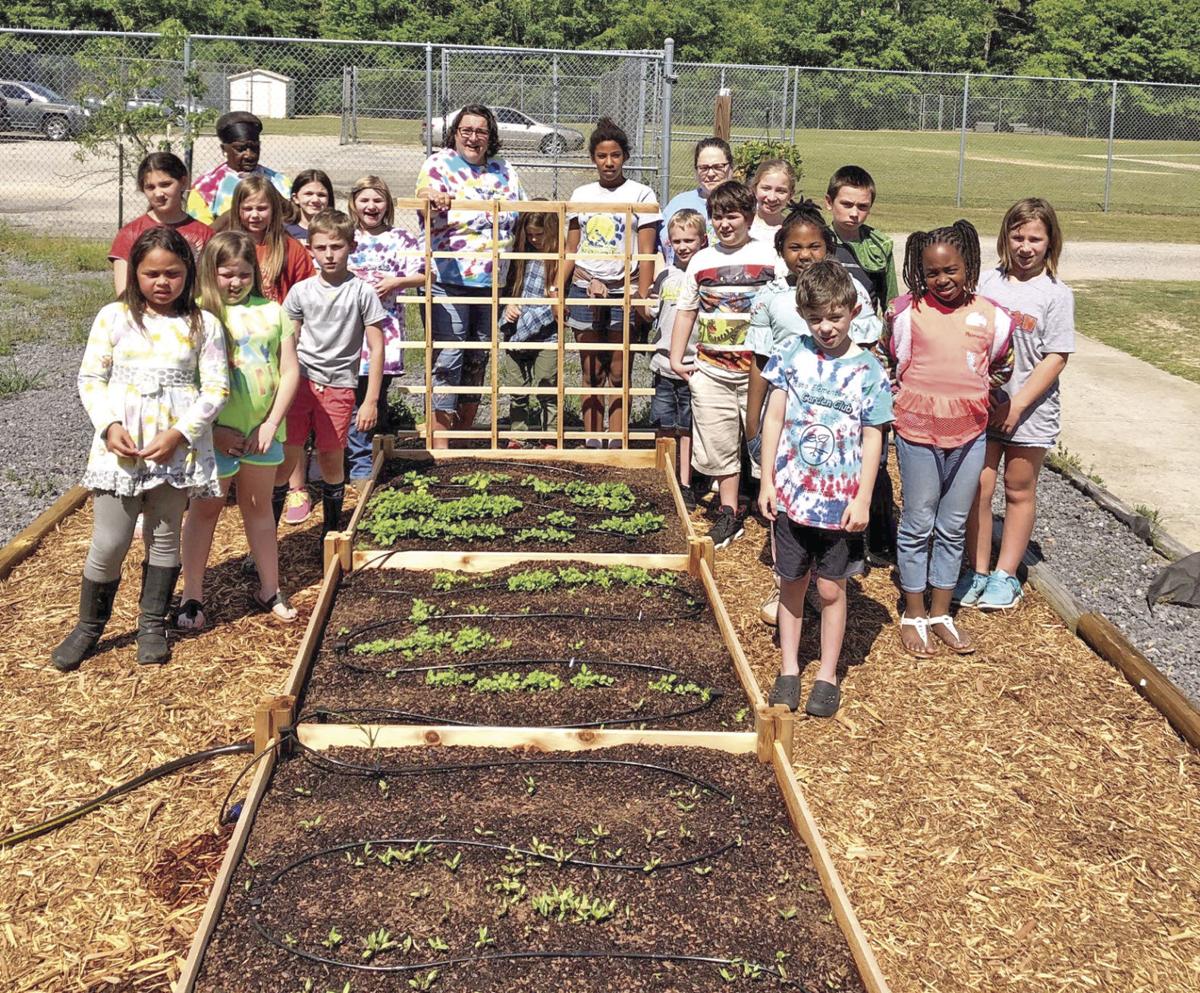 School Gardening Club Ideas school-gardening-club-ideas