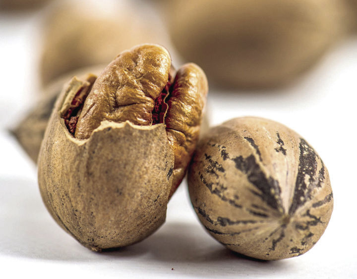 FROM ATTIC TO BASEMENT: It's easy to be nuts about plain ol' pecans