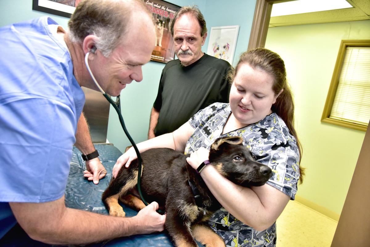 Protecting pets and you: Fewer clinics but veterinarians work to ...