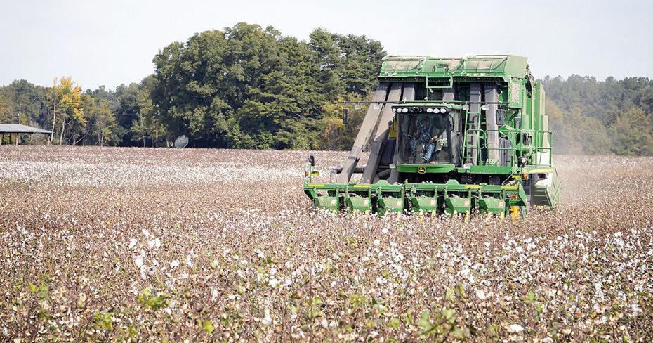 Hugh Weathers faces 2 challengers as SC ag leader