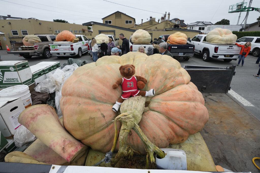 Photos: Pumpkin weighing 2,749 pounds sets world record for biggest gourd