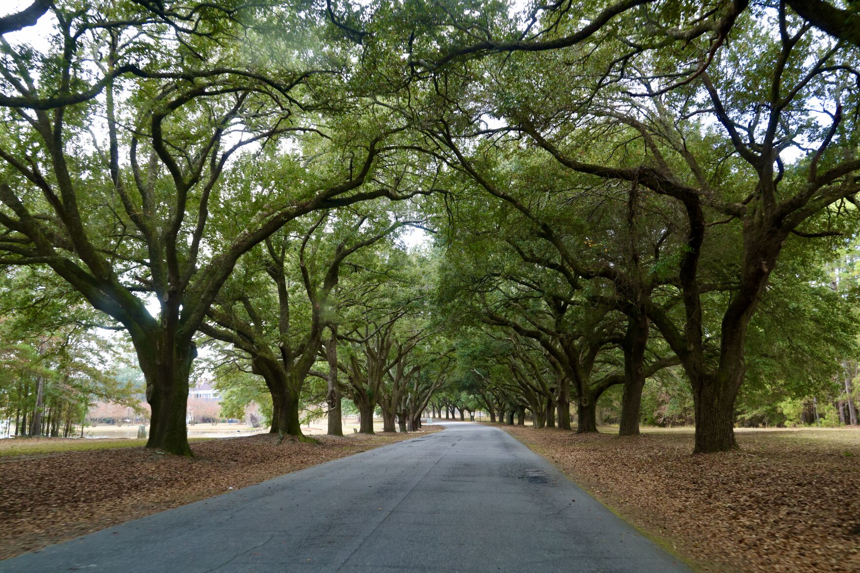 The Oaks Post Acute Holds Family Fun Day Market