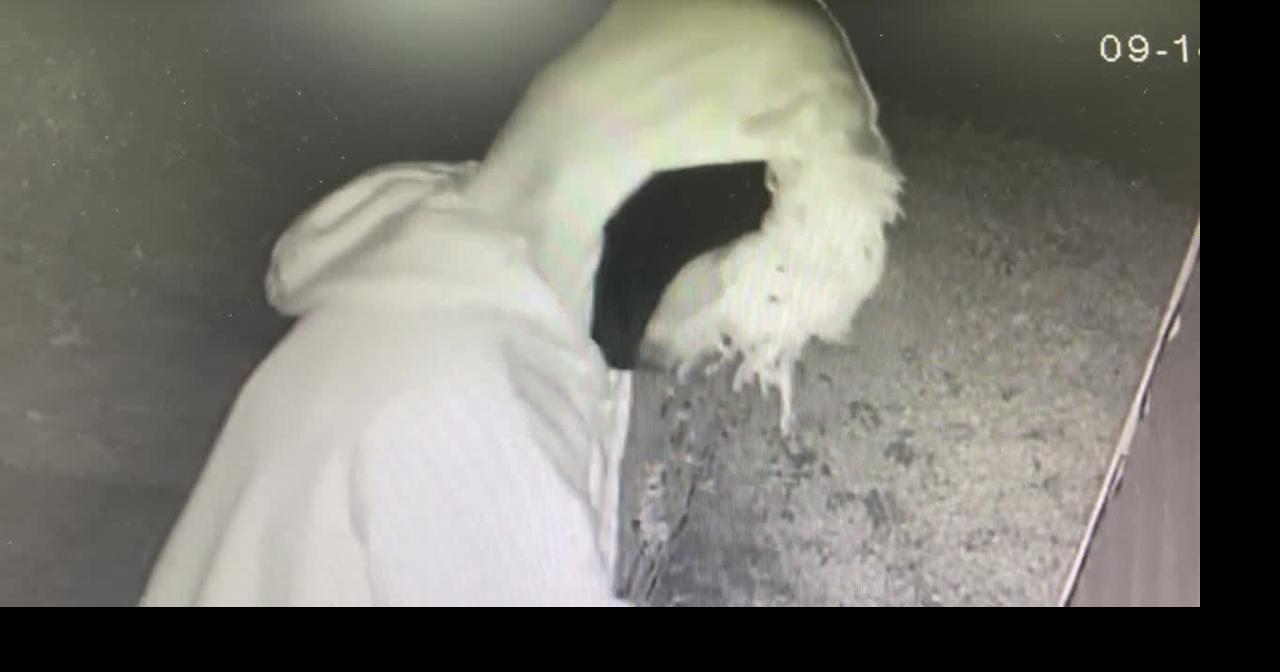Video released in Holly Hill stabbing death probe