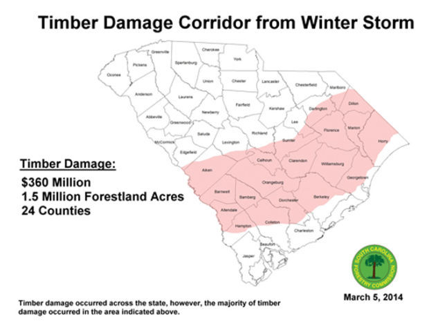 Ice storm caused heavy damage to timber, but 2004 and Hurricane Hugo ...