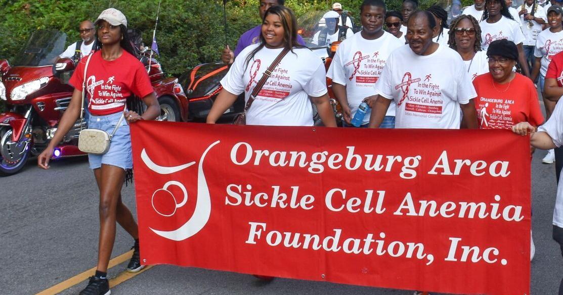 2024 Sickle Cell Awareness Walk draws nearly 300
