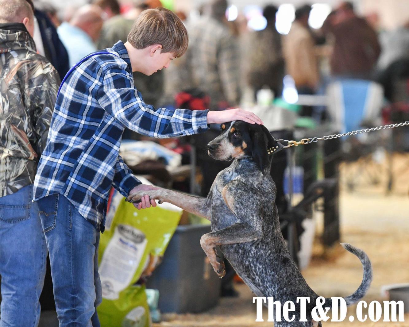 IN PHOTOS: 2019 Grand American Coon Hunt views from Saturday at the ...