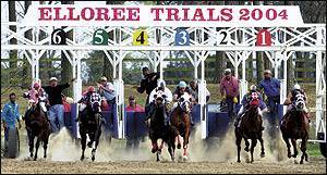 Elloree Trials: One of the largest crowds ever