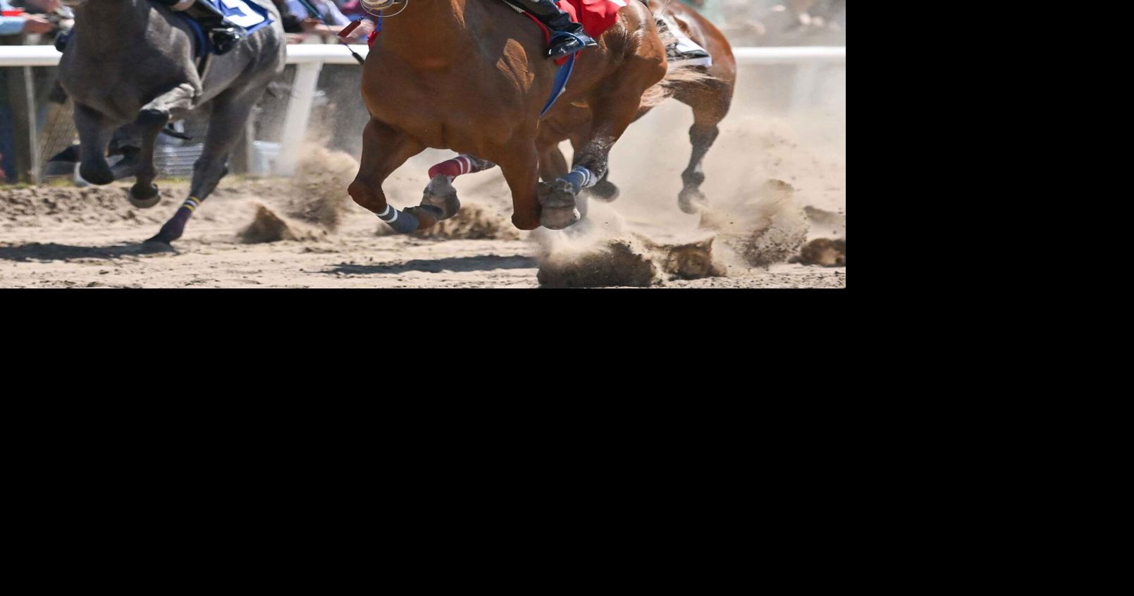 IN PHOTOS: 60th running of the Elloree Trials