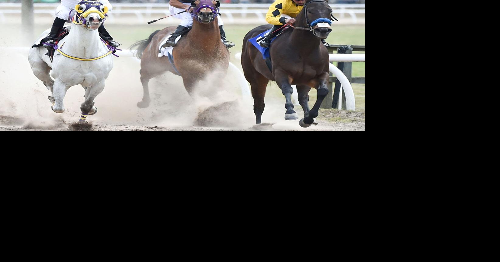 Elloree Trials back on track